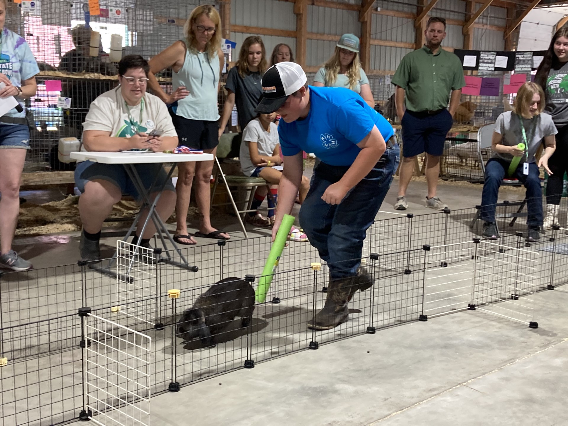 4-H Rabbits get a bit silly for Funny Bunny show | News, Sports, Jobs ...